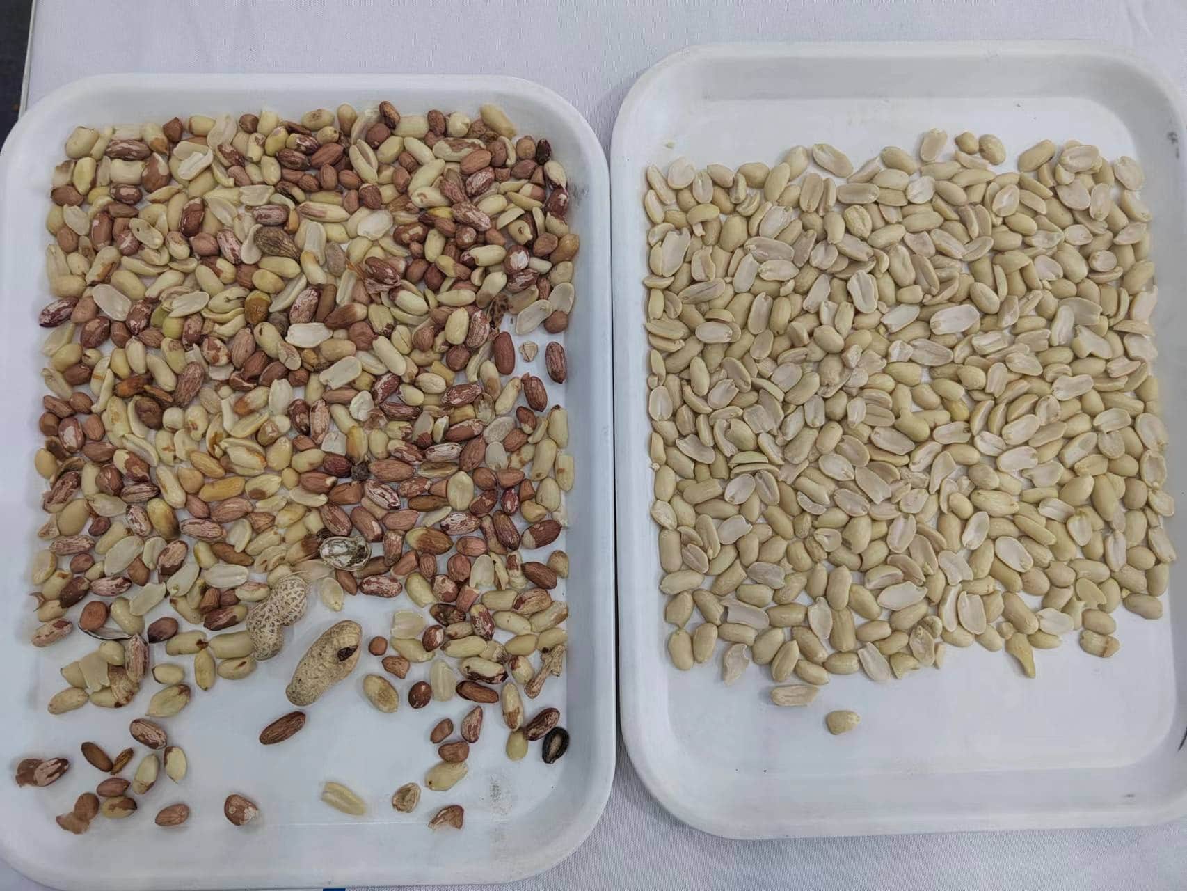 Colour Sorter,Optical Sorter,Colour Sorting Machine,Color Sorter Factory